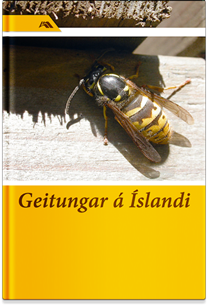 Rafbækur Námsgagnastofnunnar